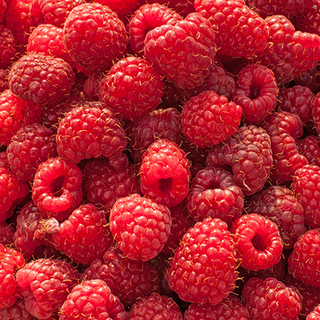 Raspberry | AIJN - European Fruit Juice Association